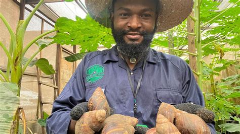 Patience Pays Off For Bustling Nigerian Snail Farmer Food For Afrika