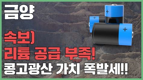 금양 속보 리튬 공급 부족 콩고광산 가치 폭발세 정교수의 6월7일 추천종목 큐알티 금양 금양주가 Youtube