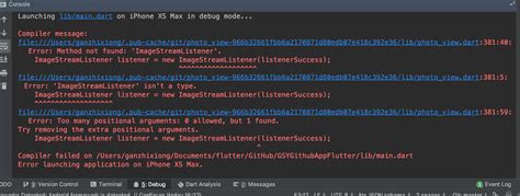 Photo View Compiler Issue Carguo Gsy Github App Flutter Github