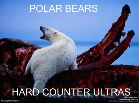 Modern Polars An Extensive Side By Side Comparison Of Polars And
