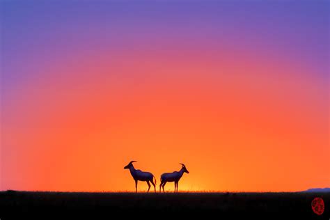 Yun Wang Insearch Pk