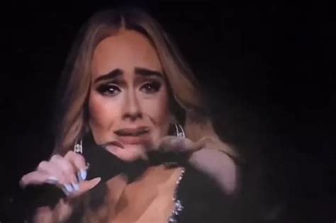 Adele Breaks Down In Tears As Fan Shows Her Photo Of His Late Wife At