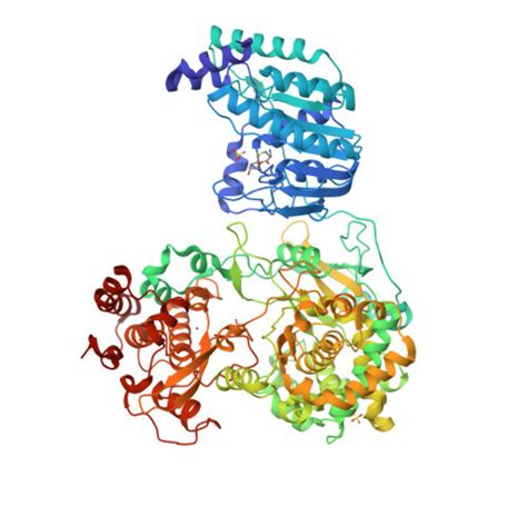 Yellow Fever Virus Structure