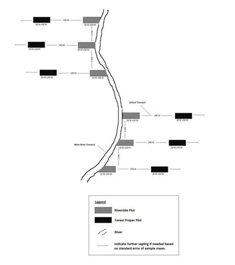 Schematic Diagram Showing Transect Lines And Position Of Sampling Plots Download Scientific