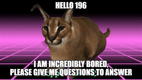 Another Fucking Ama Rule R 196