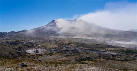 10 Best Supplements To Boost Your Immune System