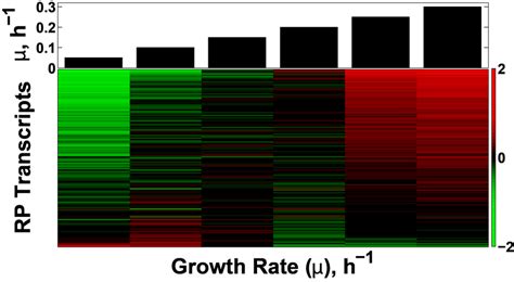 Figure S5 Different Rps Have Different Magnitudes Of Their Growth Rate