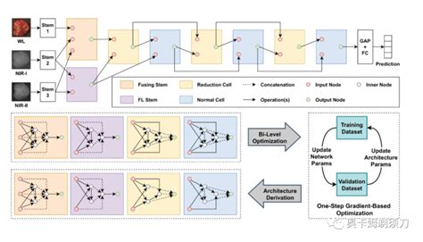 【论文合集】2022年10月医学影像期刊论文合集 transformer based unsupervised contrastive learnin csdn博客