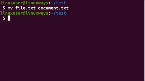 How To Rename Files In Ubuntu 2004 Vitux