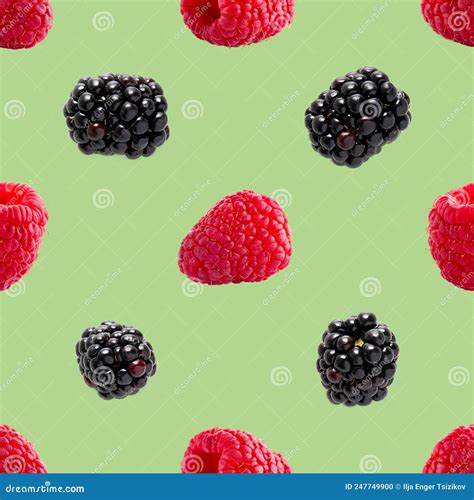 Seamless Pattern With Raspberry And Bramble Pattern For Package Design
