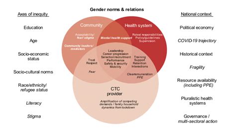 Gendered Experiences Of CTC Providers In Fragile Settings During Download Scientific Diagram