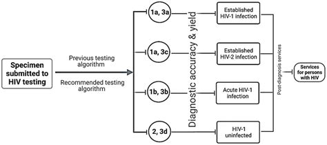 Recommended Analytical Framework By Cdc For Accurate Hiv Diagnosis
