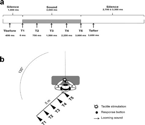 Auditory Tactile Interaction Experiment Used For The Estimation Of Pps