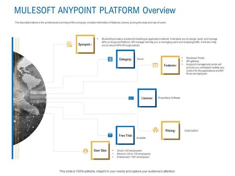 Digital Businesses Ecosystems Mulesoft Anypoint Platform Overview Guidelines PDF