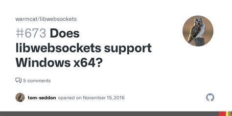 does libwebsockets support windows x64 · issue 673 · warmcat libwebsockets · github