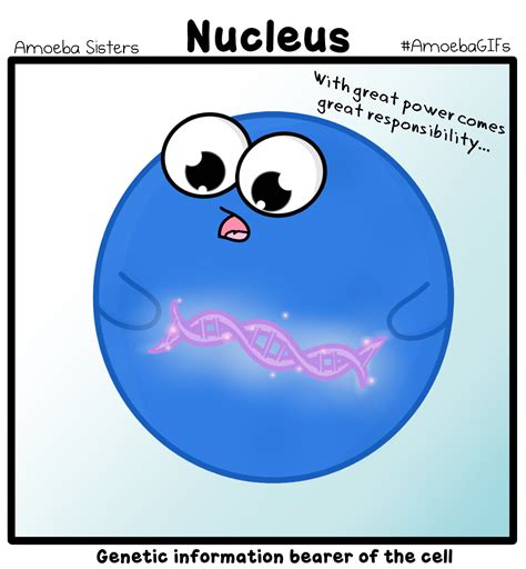 Nucleus  By Sarinasunbeam On Deviantart