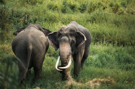 Key Considerations For Designing Clustered Indexes In Postgresql