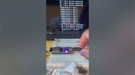 Live Testing Ds18b20 Dallas Temperature Sensors From Ebay To See If They Are Working Youtube