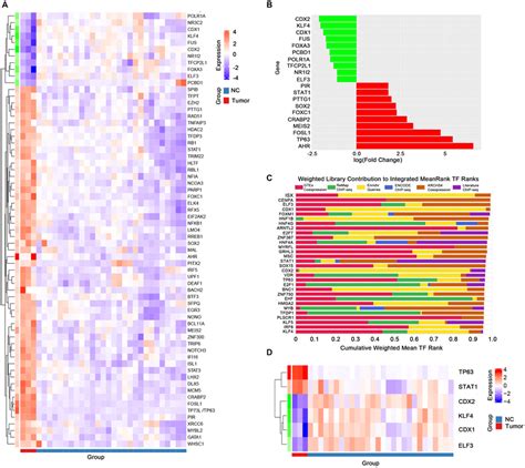 Transcription Factor Analysis Of Genes Related To Cscc A Thermograms Download Scientific