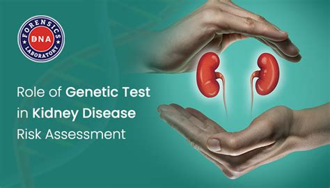 Dna Forensics Laboratory Blog Dna Forensics News
