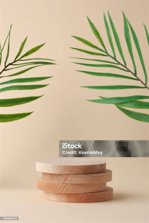 파스텔 베이지소재의 나무 연단과 야자수 잎이 있는 화장품 배경 화장품 프리젠 테이션을위한 빈 쇼케이스 화장실 건축물에 대한 스톡