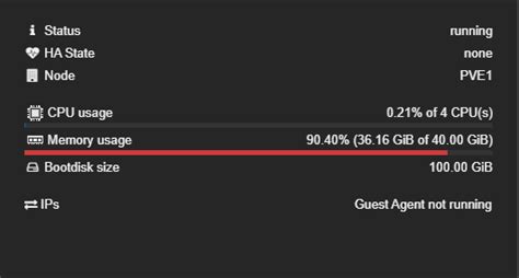 Memory Reading Higher Than Actual Use Rproxmox