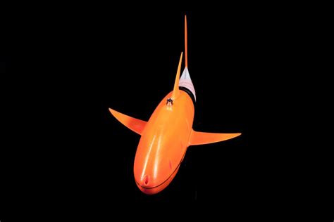 Robotic Fish Swims Through Water By Mimicking The Movement Of A Tuna