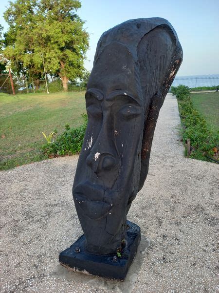 Quaw S Quest A Beacon Of Resilience Barbados