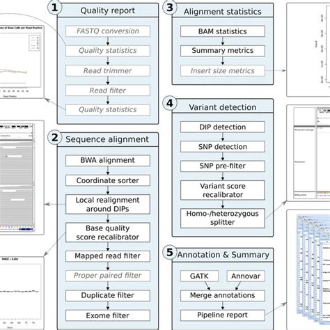 1 Simplex Analysis Pipeline Overview Mandatory Components Are Download Scientific Diagram