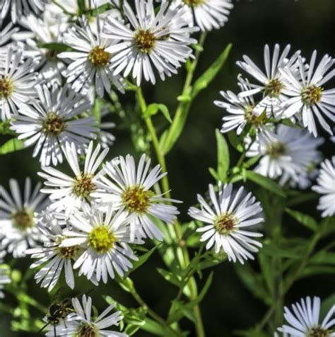 Хороскоп за 15 септември 2022г Рак Денят благоприятства активен начин на живот и разнообразни