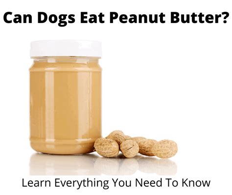 Can Dogs Eat Peanut Butter Fact Checked By Our Vet Gentledogtrainers