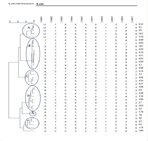 Clustering Results Of β Lactamase Producing Escherichia Coli Using