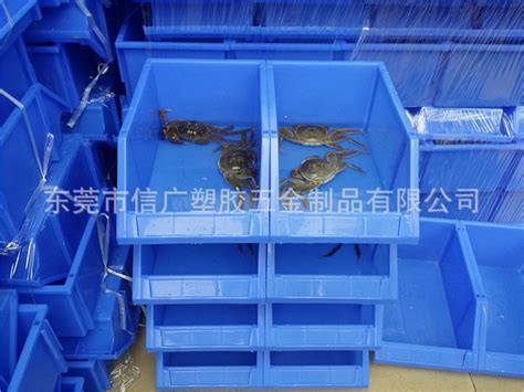 室内养蟹设备 室内养蟹工厂化养蟹 伤感说说吧