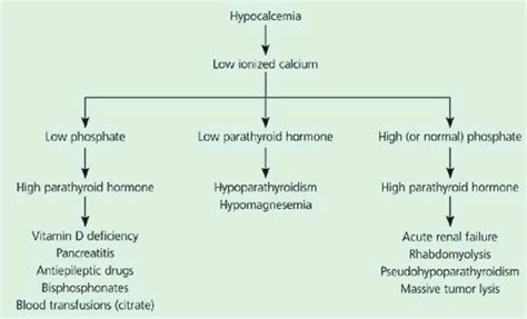 Causes Of Hypocalcemia Nursing Tips Nursing Study Nursing School Causes Of Hypocalcemia Nursing Tips Nursing Study Nursing School