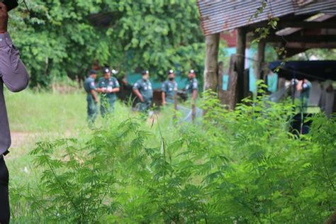 អាជ្ញាធរក្រុងប៉ោយប៉ែតនិងកងកម្លាំងសមត្ថកិច្ចចម្រុះចុះពិនិត្យកម្ពស់ទឹកអូរតាមបន្ទាត់ព្រំដែនកម្ពុជា