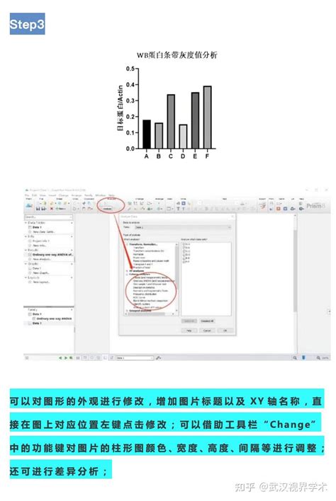 实验技巧｜wb定量方法—灰度值计算及分析！ 知乎
