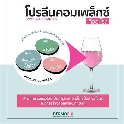 Proline Complex คืออะไร Proline Complex เป็นกลุ่มกรดอะมิโน ประกอบด้วย โปรลีน ไฮดรอกซีโปรลีน และ