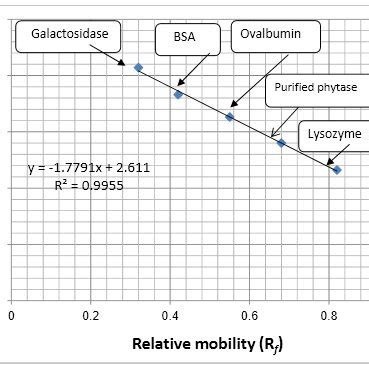 Standard Curve Of Relationship Between Log MW And R F Of The Standard Download Scientific