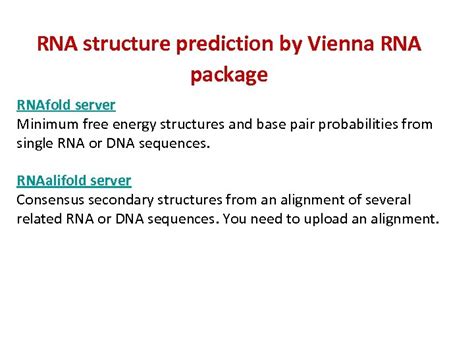 Tutorial 9 RNA Structure Prediction RNA Structure
