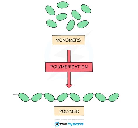 Addition Polymers 481 Edexcel Igcse Chemistry Revision Notes 2019 Save My Exams