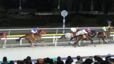 2023年クイーン賞でまくり逃げを披露するテリオスベル【渾身の江田照男】（現地） Youtube