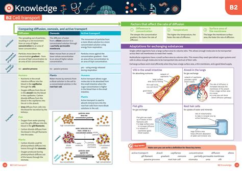 Aqa Gcse Combined Science Trilogy Foundation