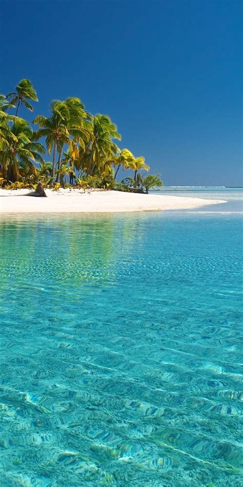 Завантажити шпалери на робочий стіл ПК Пейзаж Пляж Пальми