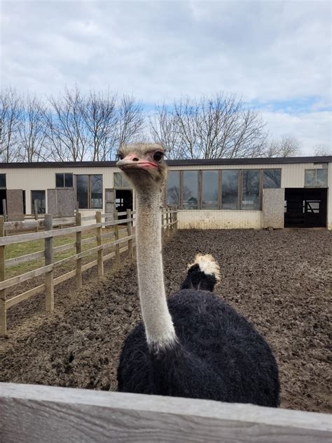 Бунт | Пикабу