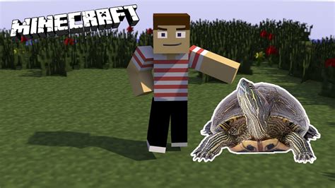 КАК СДЕЛАТЬ ЧЕРЕПАХУ В МАЙНКРАФТ БЕЗ МОДОВ И БЕЗ КОМАНДНЫХ БЛОКОВ Youtube