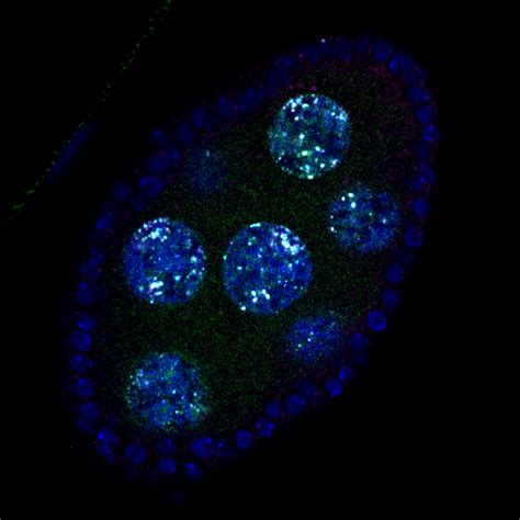 How Cells Hack Their Own Genes