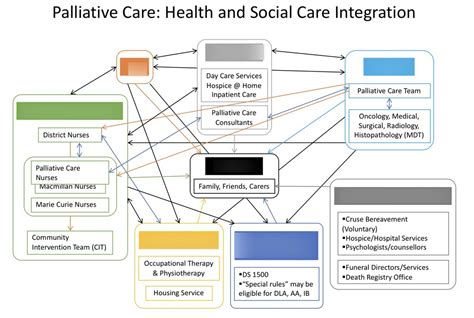 Week 2 Integration Of Palliative Care Diagram Quizlet