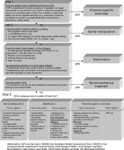 Modified Treatment Based Classification System For Patients With LBP Download Scientific