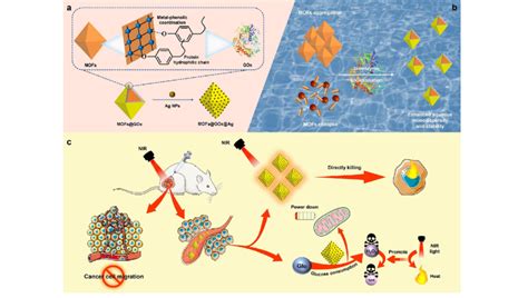 Schematic Illustration For A Enzyme Coordination Interactions Between