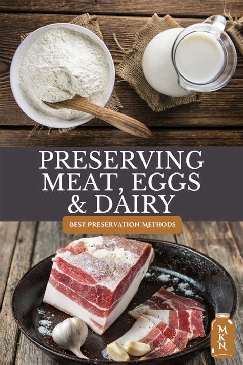 How To Preserve Meat Eggs And Dairy Melissa K Norris